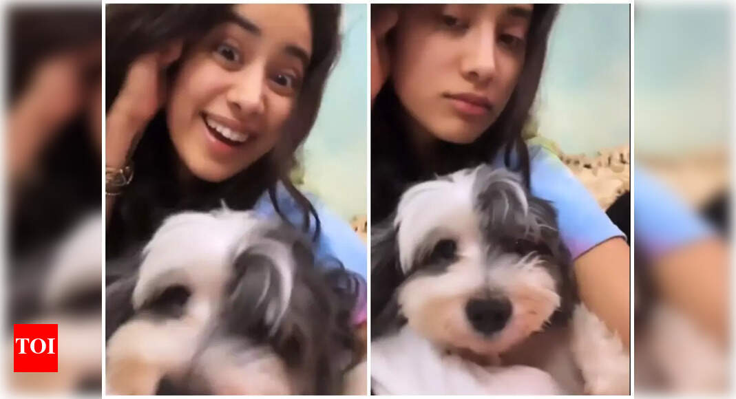 Janhvi Kapoor shares a goofy video with her pet Panda and it will make ...