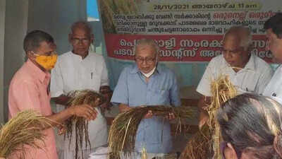 Kerala: For 72-year-old Chanthu, his harvest is a big victory | Kochi ...