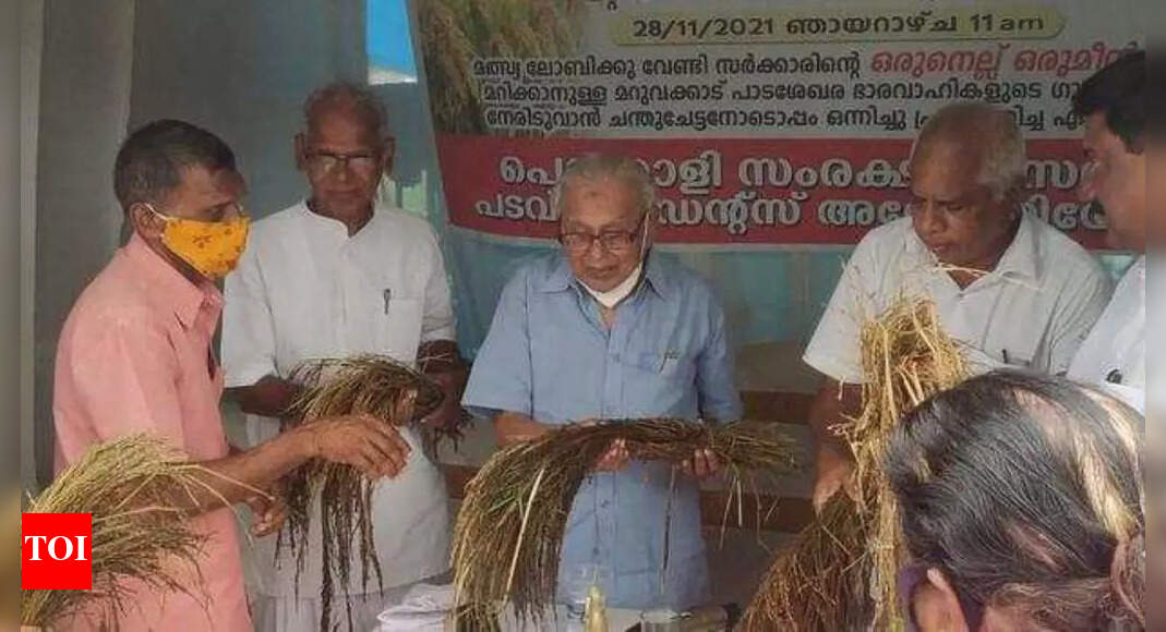 Kerala: For 72-year-old Chanthu, his harvest is a big victory | Kochi ...
