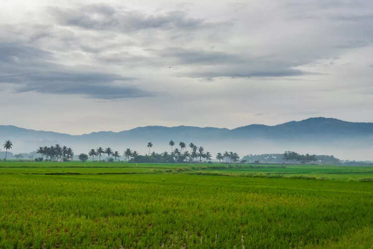 The best rural destinations to visit in India this December | Times of ...