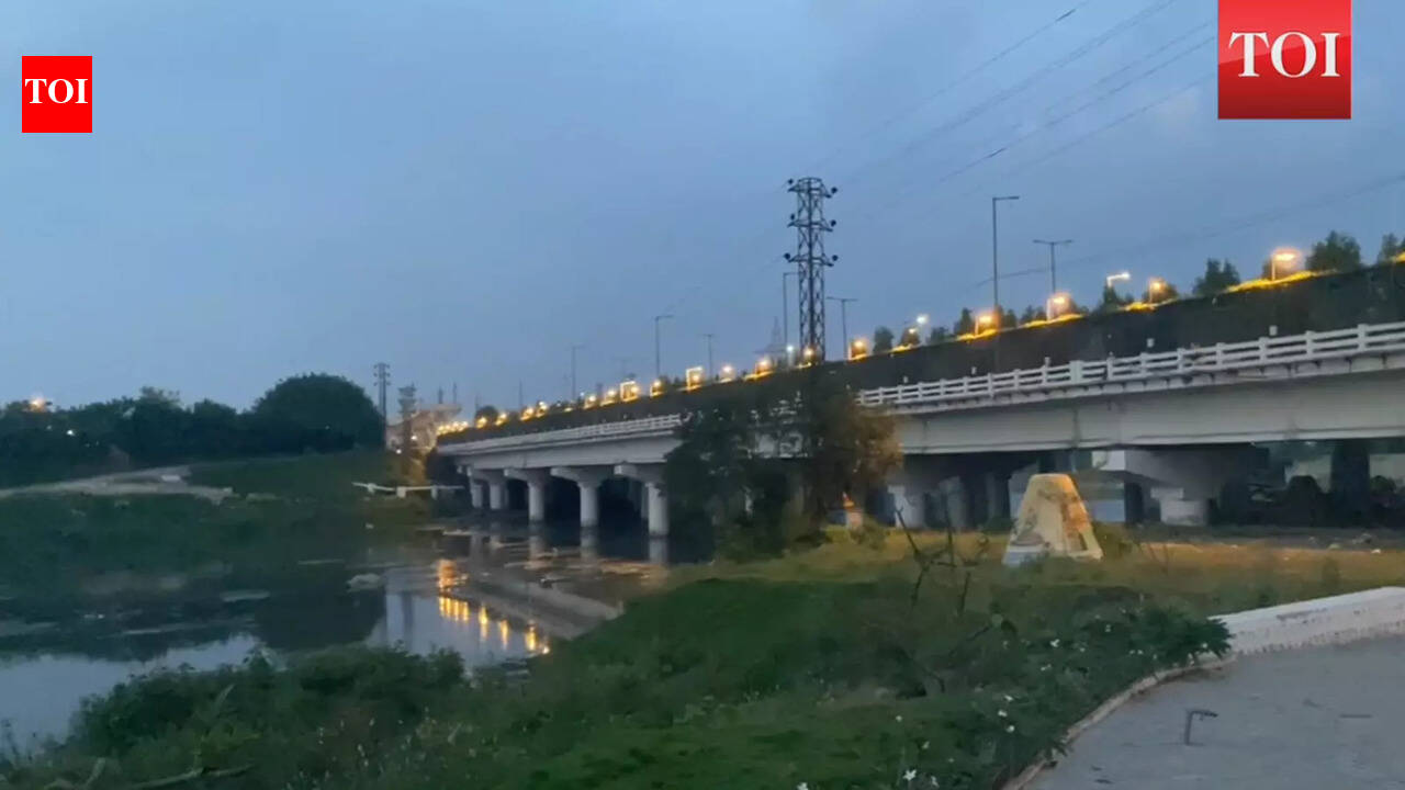 Greenery developed at river Musi stretch at Nagole