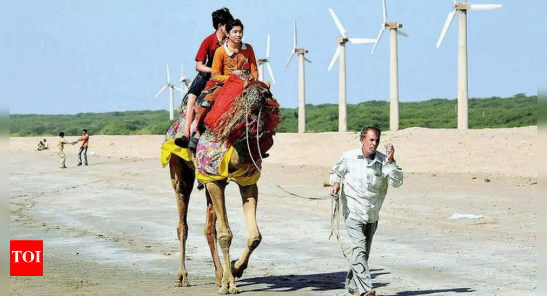 Gujarat: ‘100 rain-less years resulted in Kutch sand dunes 5,000 years ...