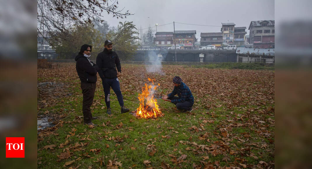 Cold wave intensifies in Kashmir as minimum temp dips further | India ...