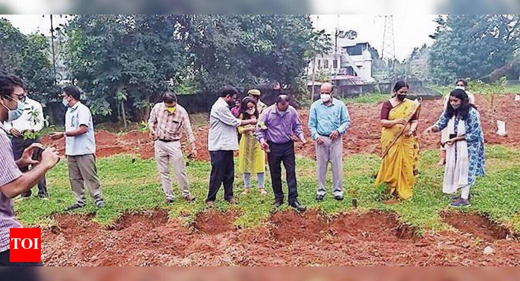 Cusat to set up butterfly park on campus | Kochi News - Times of India
