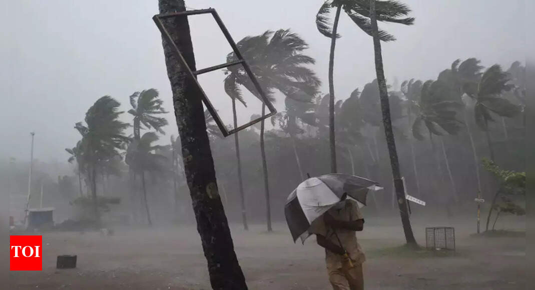 IMD issues strong wind warnings in Kerala | Kochi News - Times of India