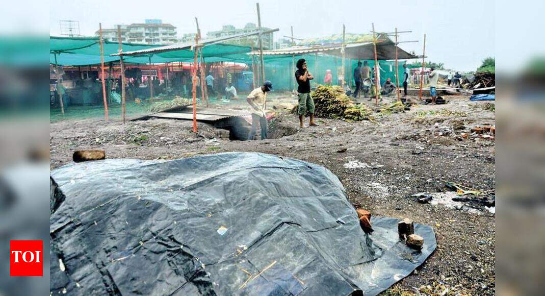 It looks a lot like winter as coastal Surat chills at 16C | Surat News ...