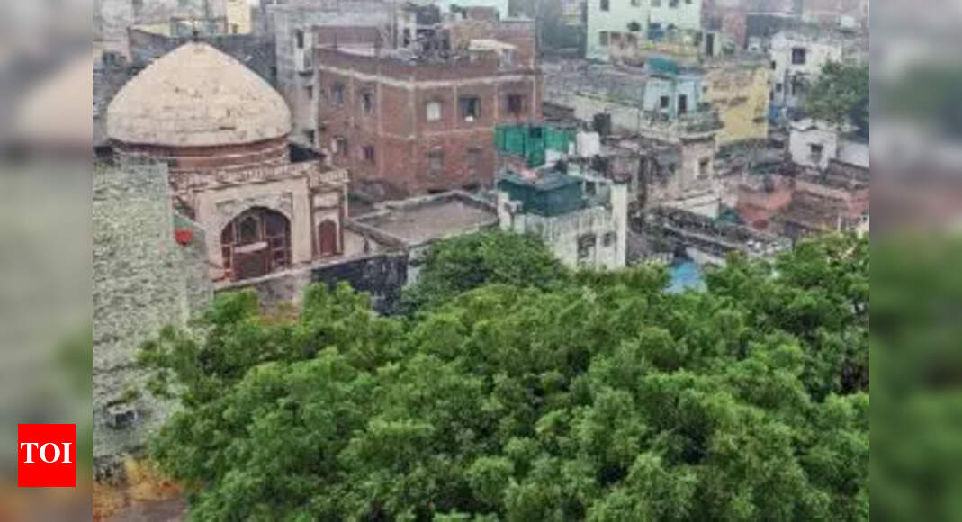 Nizamuddin revival project wins two Unesco awards | Delhi News - Times ...