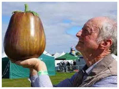 Watch: These are the world's biggest vegetables that made to the ...