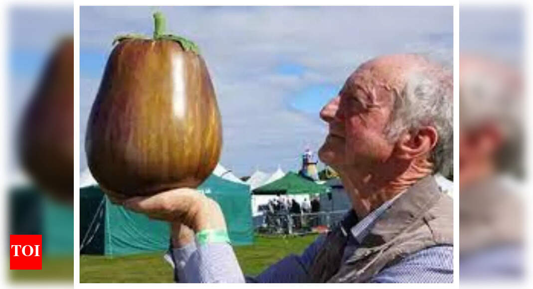 Watch: These are the world's biggest vegetables that made to the ...