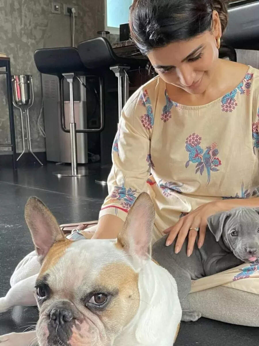 10 Most adorable pics of Samantha with her pet Hash | Times of India