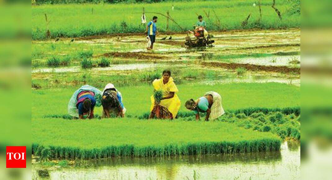 Goa needs farming reforms, clarity in land ownership, says Nabard | Goa ...