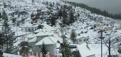 Snowfall in high-altitude regions of U’khand, ski town of Auli gets ...