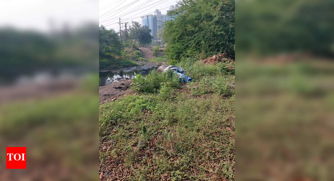 dead Buffalo - Times of India