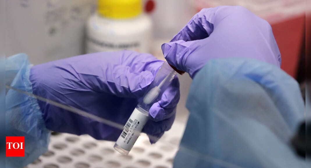 Pandemic mystery: Scientists focus on Covid's animal origins - Times of ...