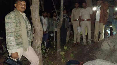 Woman killed by sloth bear in Gujarat's Dahod | Vadodara News - Times ...