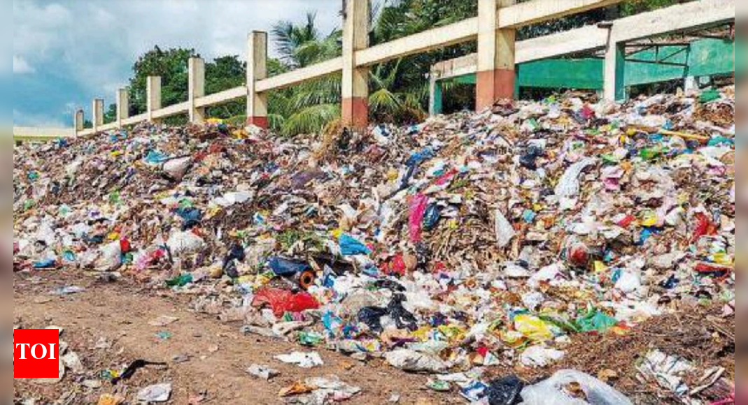 Chitlapakkam: Despite Ngt Order, Chitlapakkam Lake Continues To Be A ...