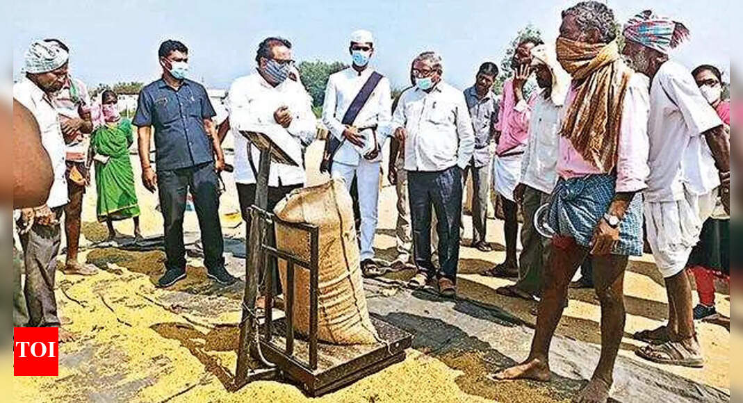 Farmers raise issue of monkey menace, officials insist on growing ...