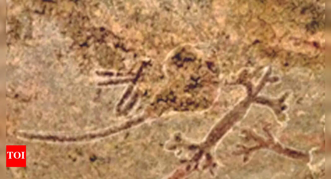 Ancient rock-art symbols discovered in Salem's Kongana Siddhar cave ...