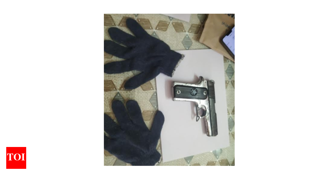 Pistol: Pistol, pair of gloves found on roadside near Pollachi ...