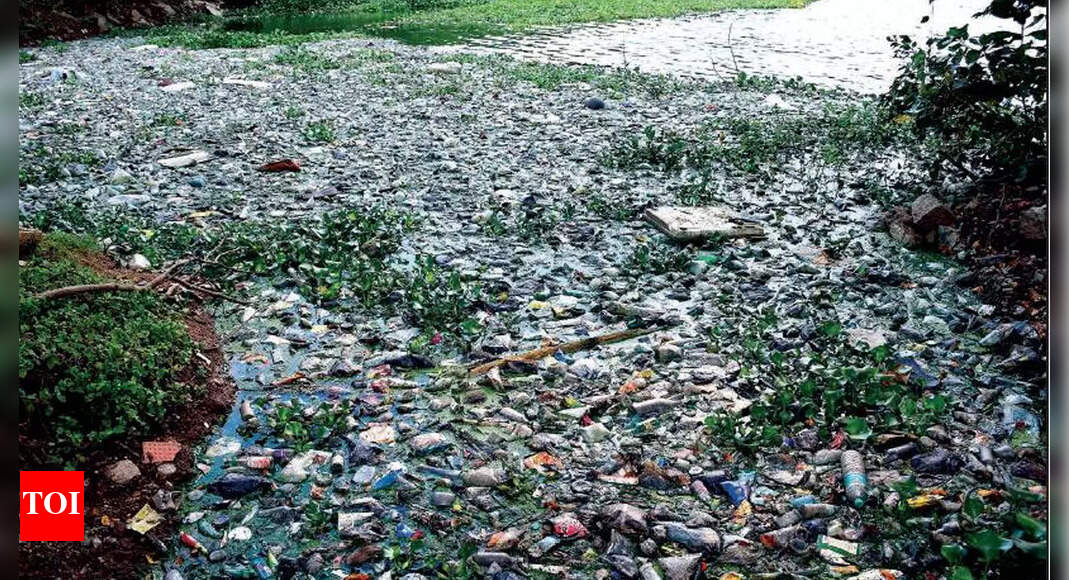 Pammal: Sewage, Garbage Fill Lakes At Pammal, Anakaputhur, Residents ...