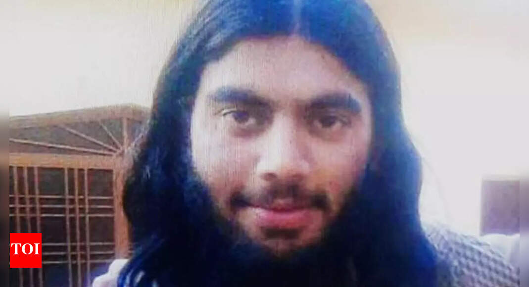 Top Pakistani LeT terrorist killed in encounter with Army in Poonch | India News - Times of India