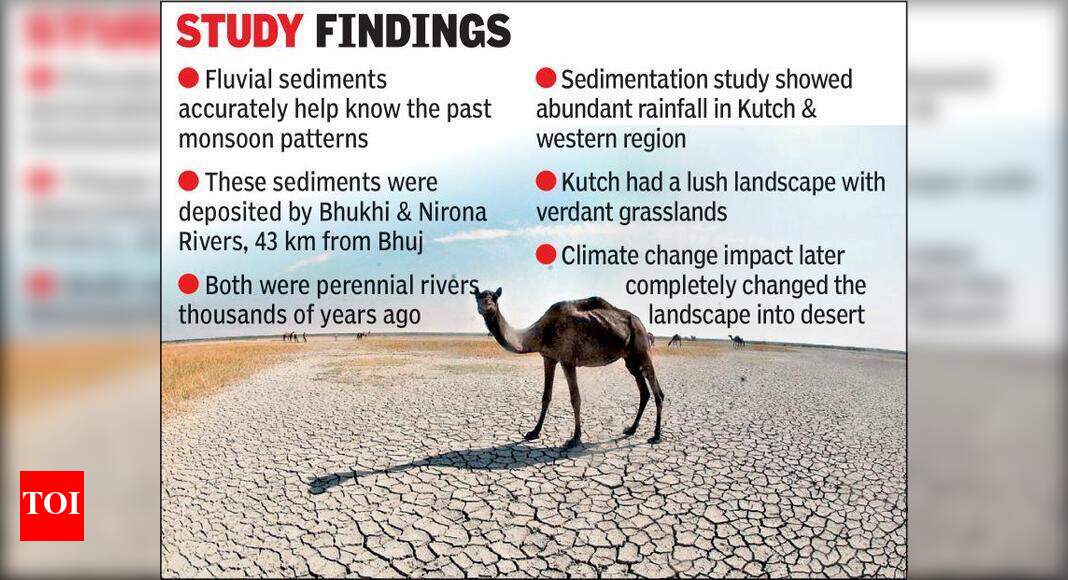 46 000sq Km Kutch Desert Was Once A Verdant Landscape Say Geologists 46-000sq-km-kutch-desert-was-once-a-verdant-landscape-say-geologists