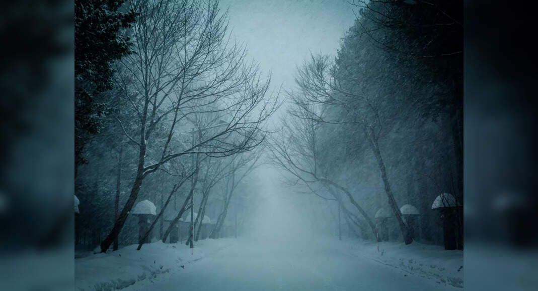 Most Haunted places In Japan: From suicide forest to haunted tunnels ...