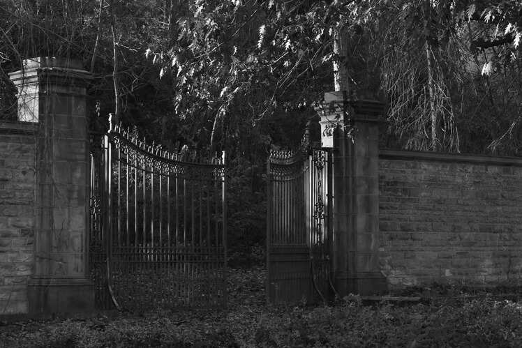 Most Haunted places In Japan: From suicide forest to haunted tunnels ...