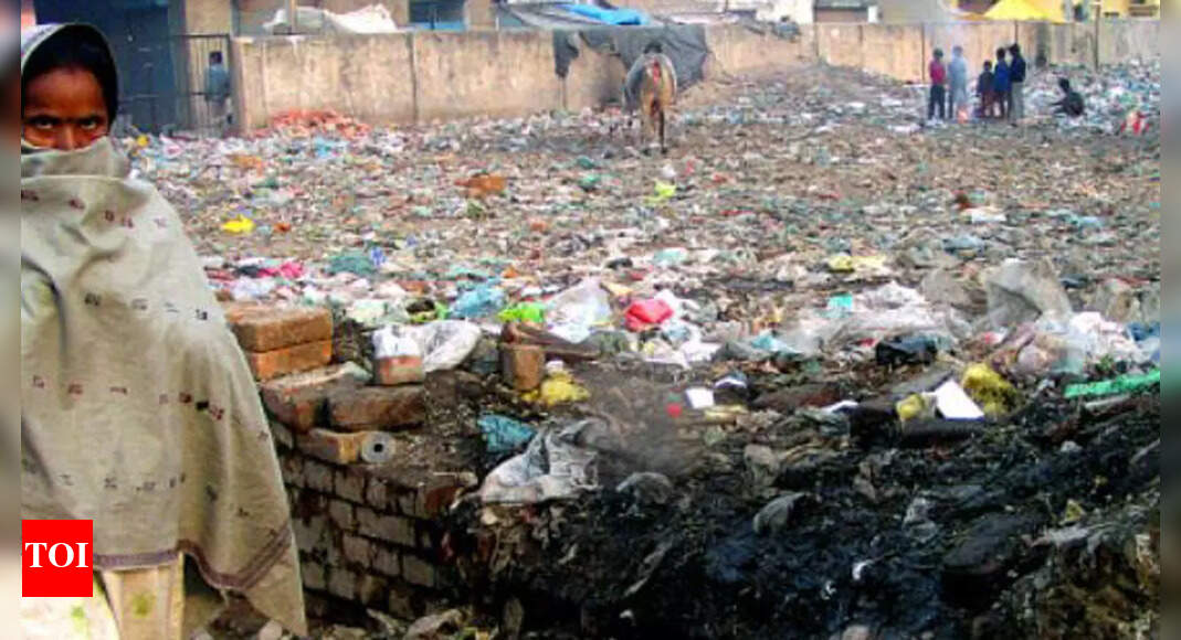 Irregular door-to-door collection could be a thing of the past: You can ...