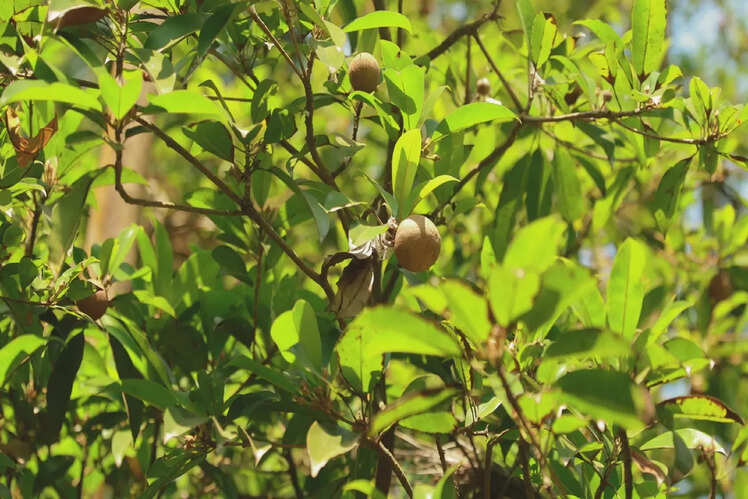 Christmas And New Year In Goa | Going offbeat in Goa this Christmas and ...