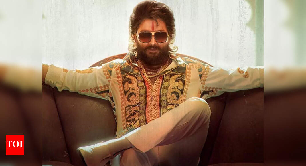 Pushpa Movie Review: Allu Arjun and Rashmika Mandanna starrer has high ...