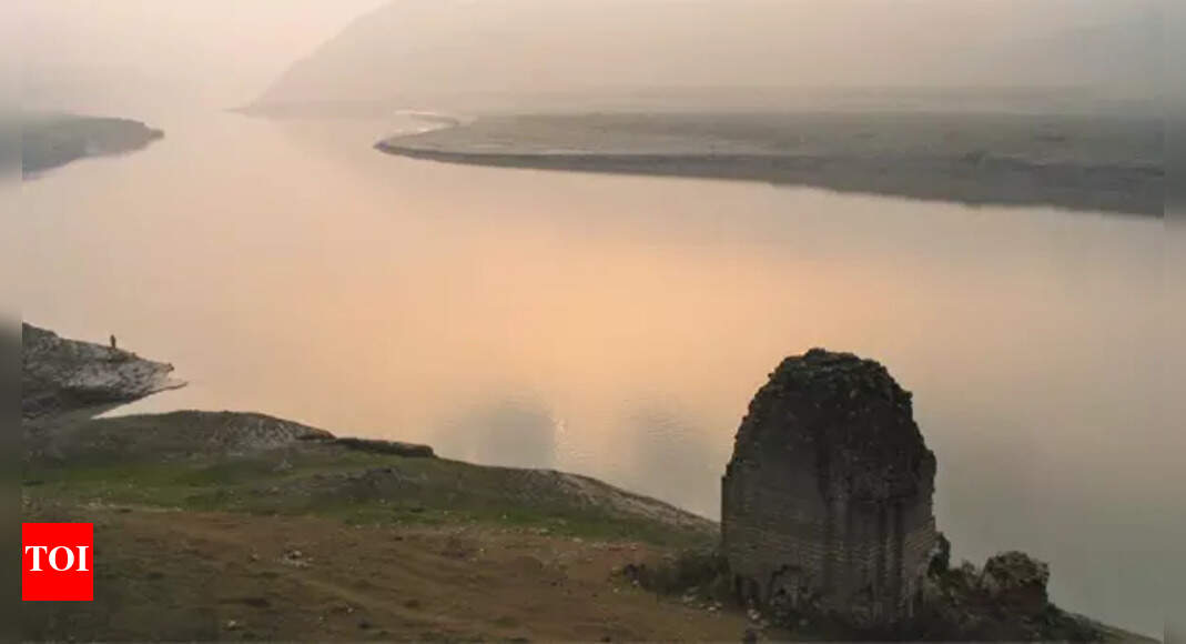 Showing now: Bhakra Dam’s best-kept secret | India News - Times of India