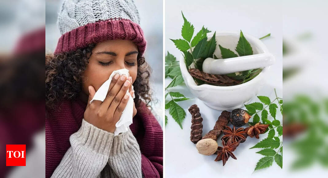 Natural Immunity Boosting Herbs: 4 immunity-boosting herbs to fight off ...