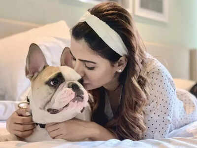 Samantha Ruth Prabhu welcomes the festive Christmas spirit with Sasha ...
