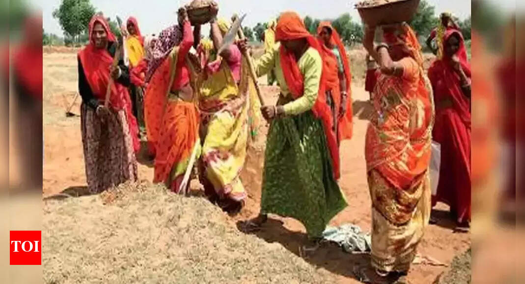 Mgnrega: Over 200 crore wage liability in Rajasthan under NREGA, states ...