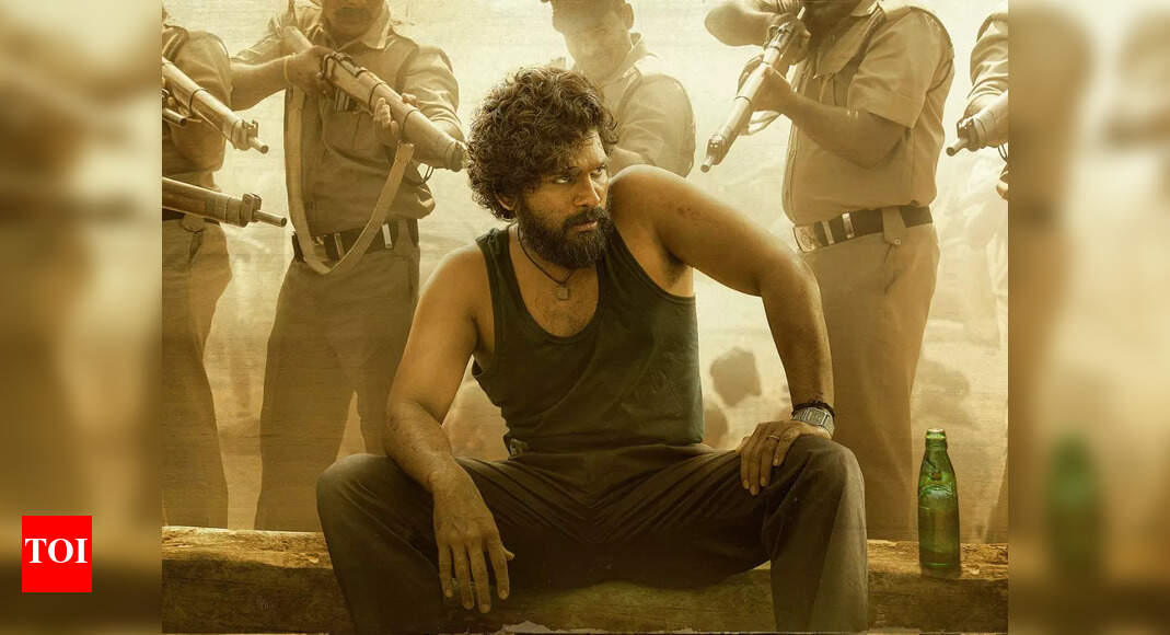 'Pushpa-The Rise' box office collection Day 3: Pushpa Raj rage at the ...