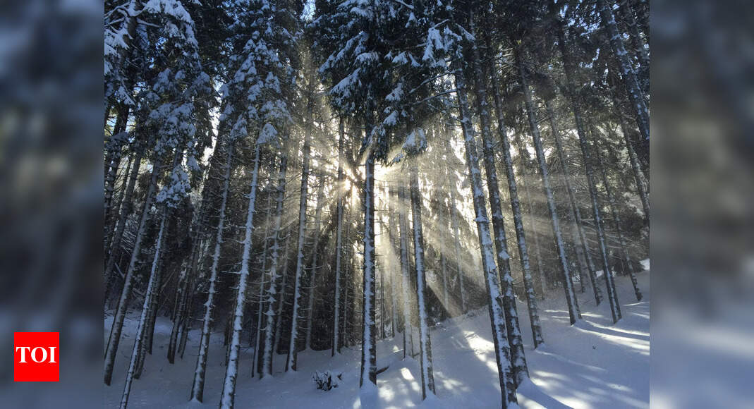 Winter Solstice: Winter Solstice 2021: Significance of the astronomical ...