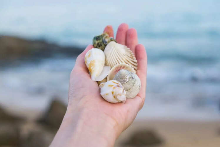 New Year Celebration In Goa | 10 things to do in Goa for free this New ...