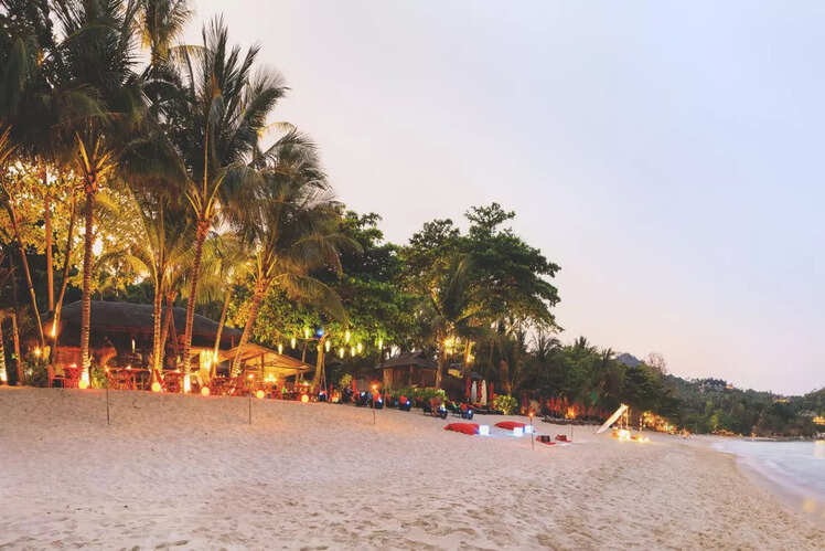 New Year Celebration In Goa | 10 things to do in Goa for free this New ...