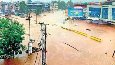 Biological, climate disasters rose in 2015-20 period: Study | Pune News ...