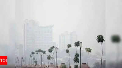 Lucknow: Icy winds bring mercury level down to 5.5 degrees Celsius | Lucknow News - Times of India