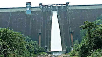 Kerala: Idukki, Cheruthoni dams open for public | Kochi News - Times of ...