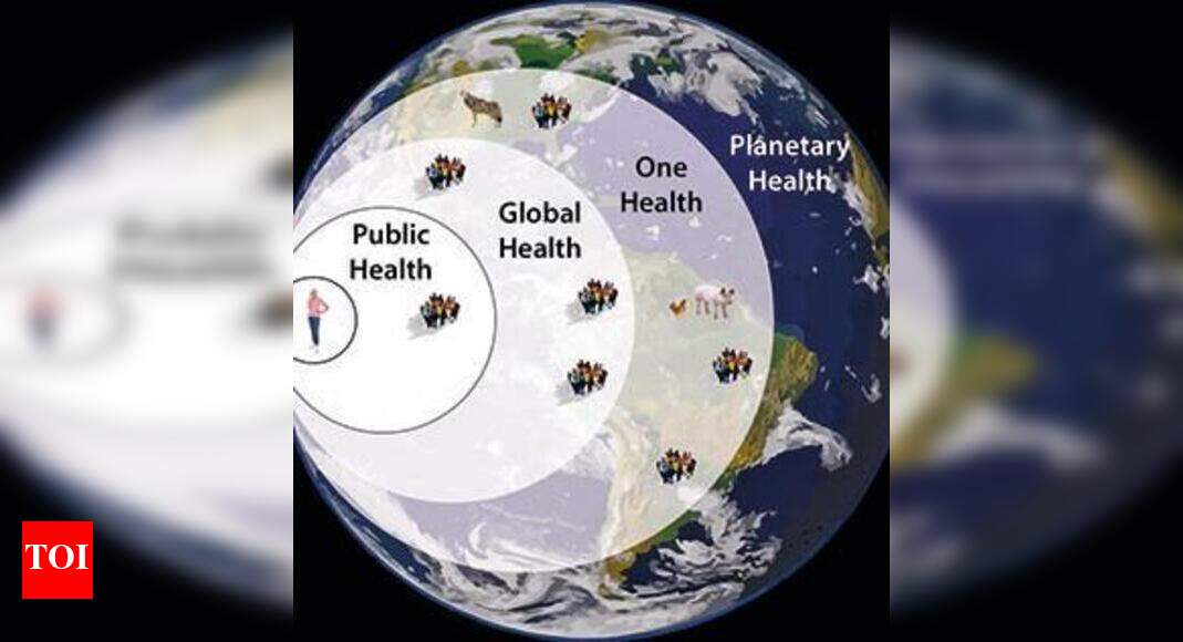 Planetary health key to avoiding future pandemics: Experts | Vijayawada ...