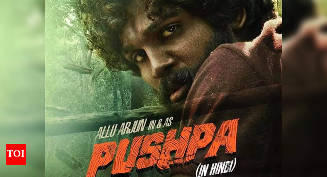 Pushpa: The Rise Movie: Hindi audiences connected with the realism in ...