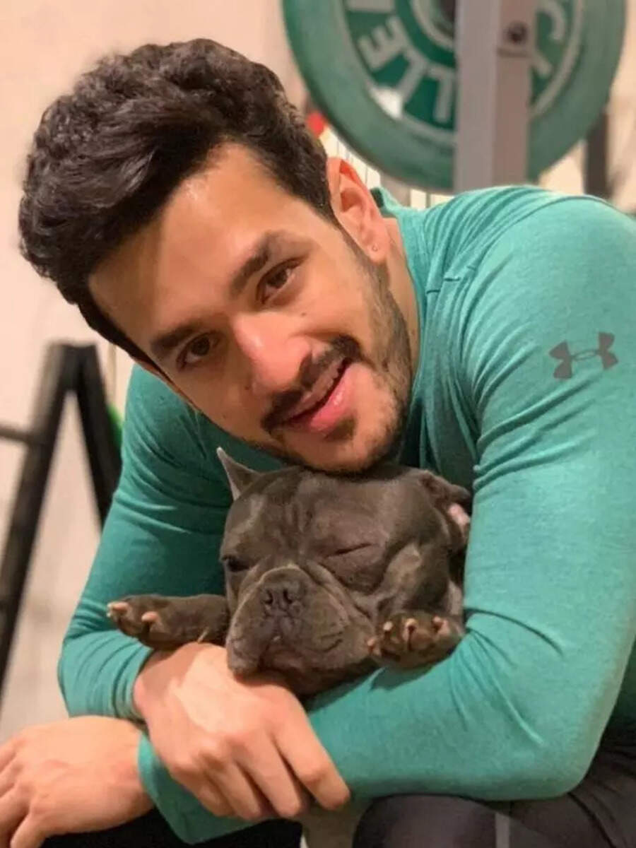 Akhil Akkineni's Body Transformation: The secret to Akhil Akkineni's ...