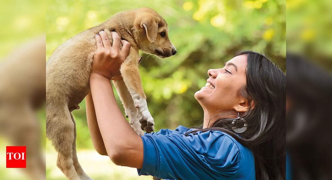 2021 saw many pets being adopted – but also abandoned - The Times of India