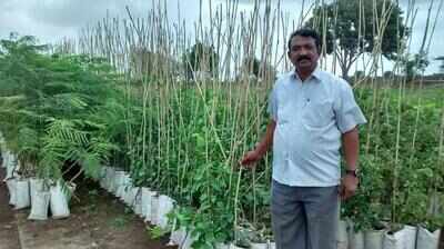 Retired official on a mission to conserve Bilva patri trees | Mangaluru ...