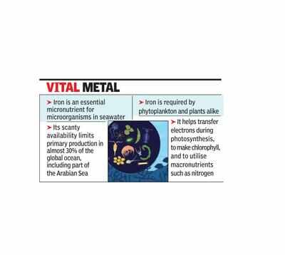 NIO scientists push for geo-engineering to enhance Arabian Sea’s iron ...