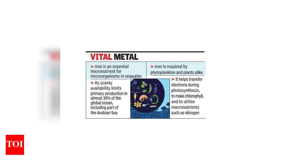 NIO scientists push for geo-engineering to enhance Arabian Sea’s iron ...