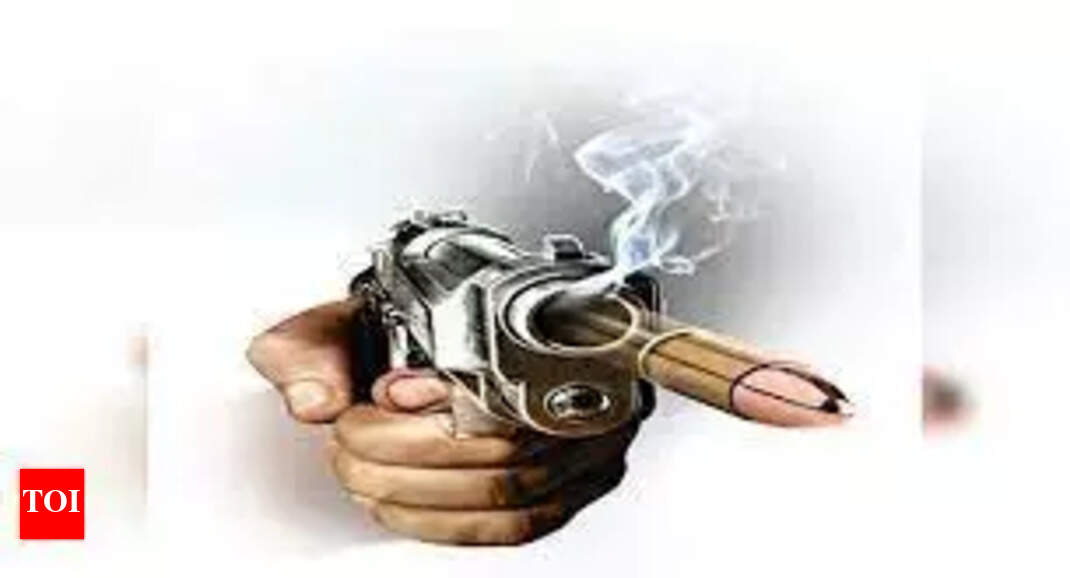 Bullet from Tamil Nadu shooting range hits boy | Chennai News - Times ...